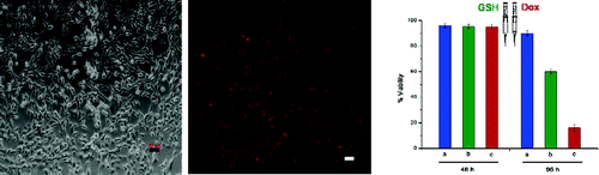 Publications – Daniel Siegwart Laboratory at UT Southwestern Medical Center